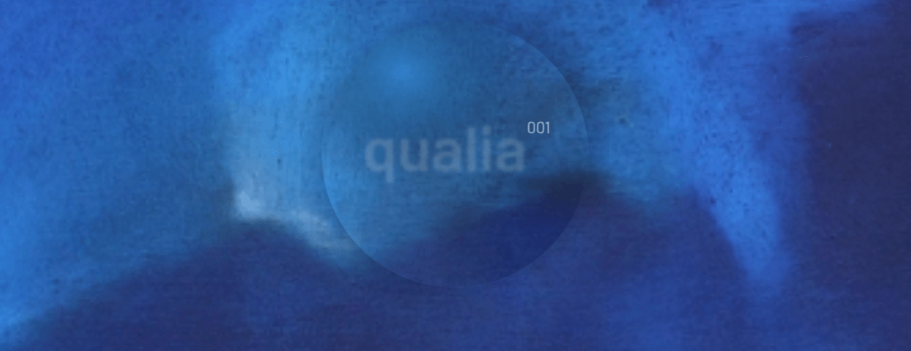 Qualia 001 | Bernhard Wöstheinrich